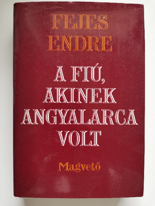 Fejes Endre - A fiú, akinek angyalarca volt